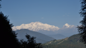 Domestic Specials - R.V. Tours and Travels